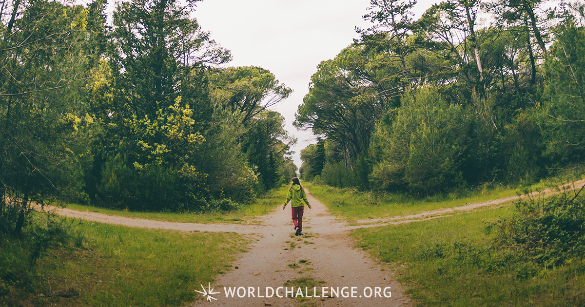 Which Path Will You Choose? | worldchallenge.org