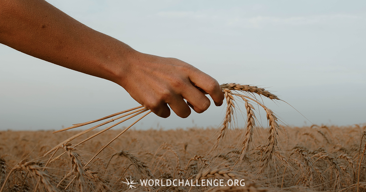 The Lord of the Harvest | worldchallenge.org