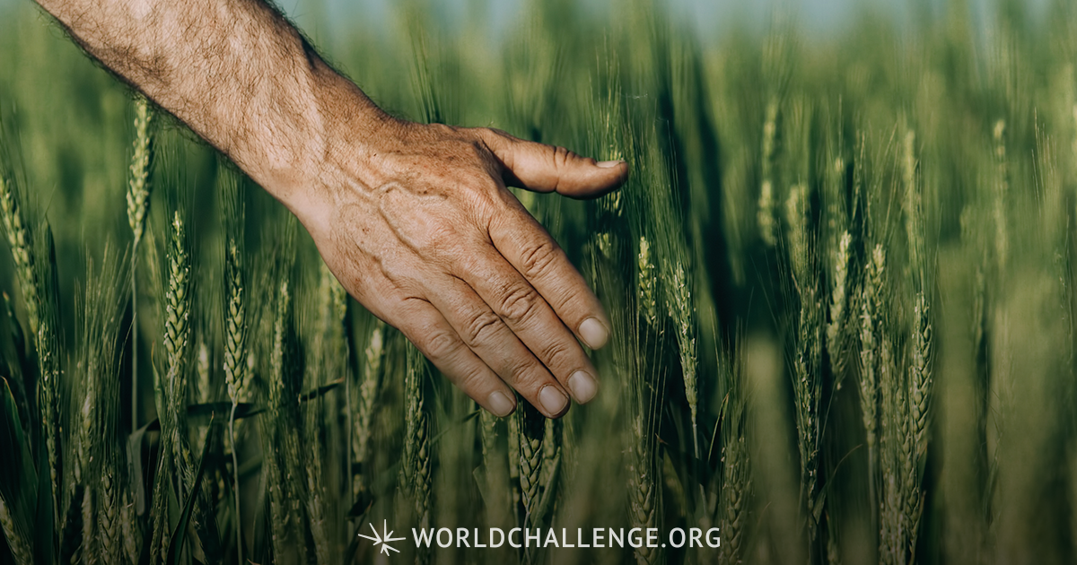 Vivere con generosità intenzionale | worldchallenge.org