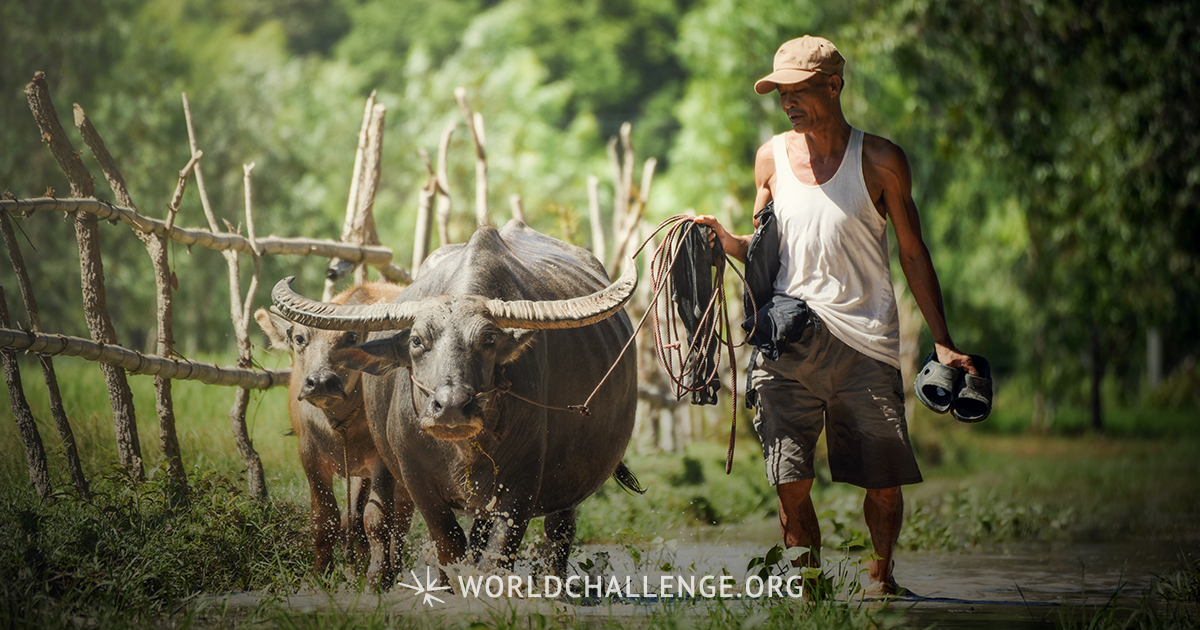 A Letter To A Pastor Worldchallenge