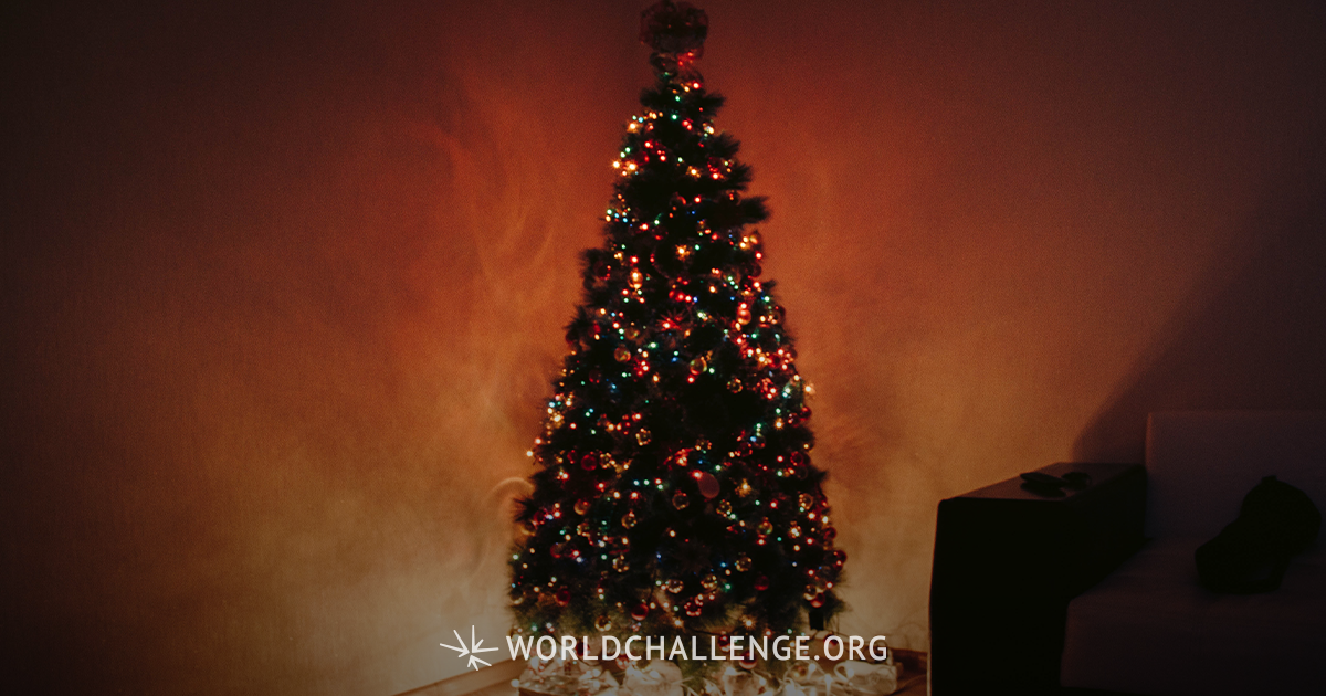 “Fir” Noël: The Redemption of a Christmas Tree | worldchallenge.org